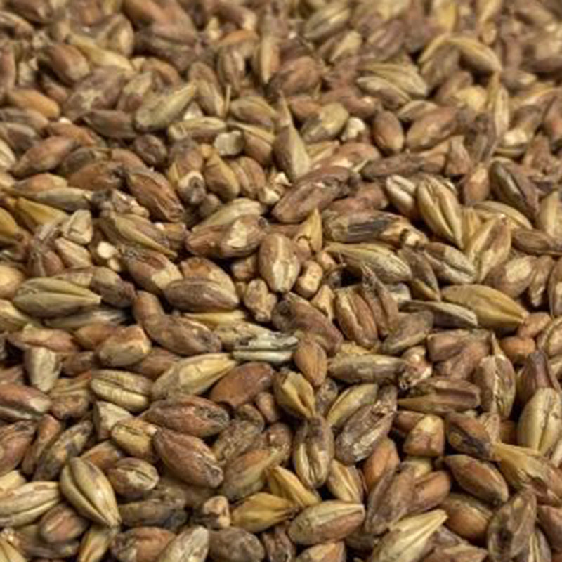 Briess Victory Malt | Brew Your Own Beer