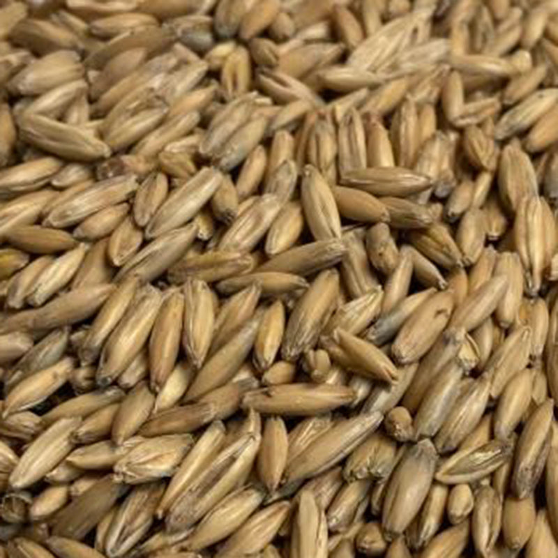 Proximity Malted Oats | Brew Your Own Beer